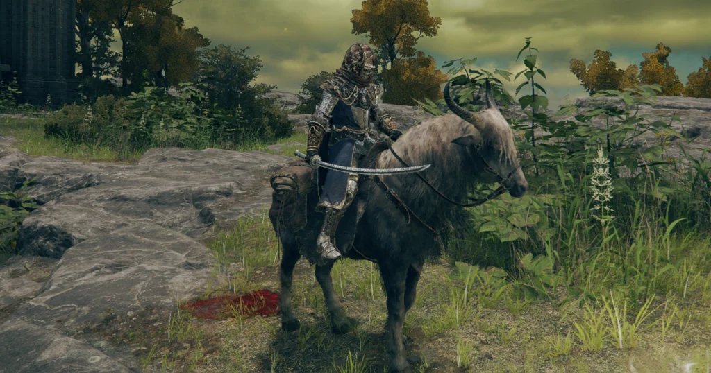My Journey to Completing Elden Ring | Not Your Typical Gamer